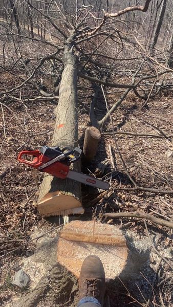 Land Management Services - Oak Tree Outdoors, Garrett County